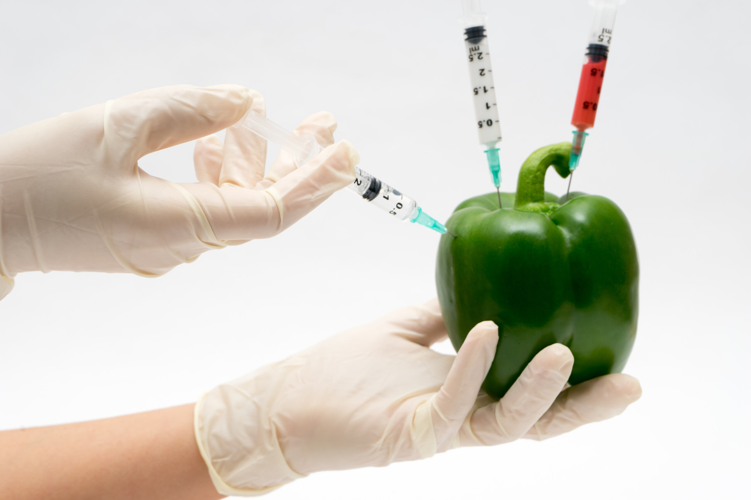 Genetically Modified Crops and Patent Law: Legal Considerations